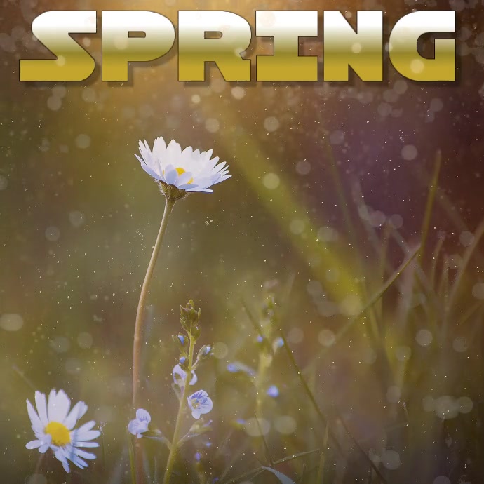 Copy of Spring 2020 Instagram Video 2 | PosterMyWall