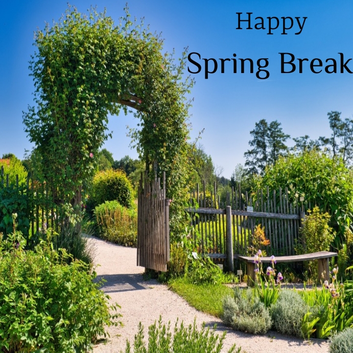 Spring break Instagram post Template | PosterMyWall