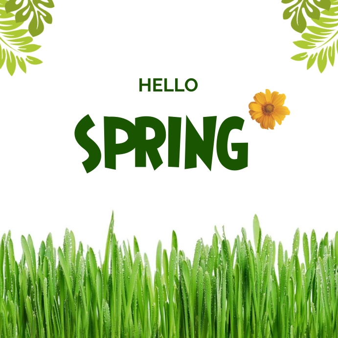 Copy of spring break template | PosterMyWall