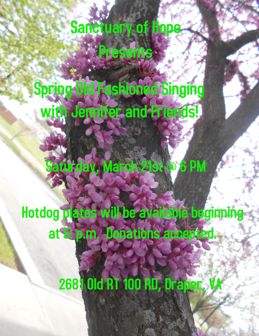 Spring Concert Template | PosterMyWall