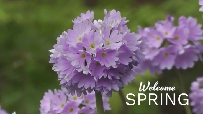 Plantilla de spring | PosterMyWall