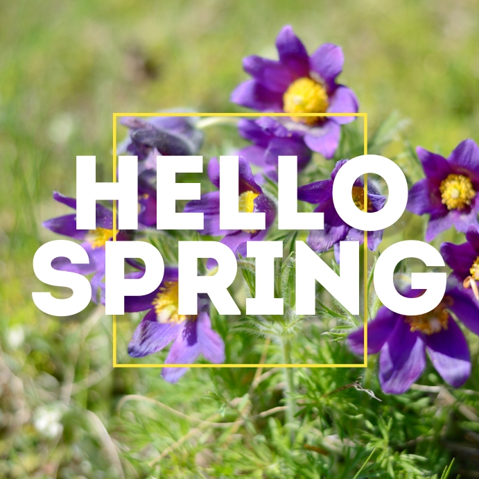 SPRING Template | PosterMyWall