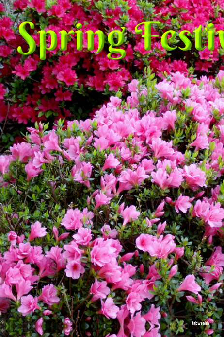 Spring Festival-color poster for home & garden event flyer: Template ...