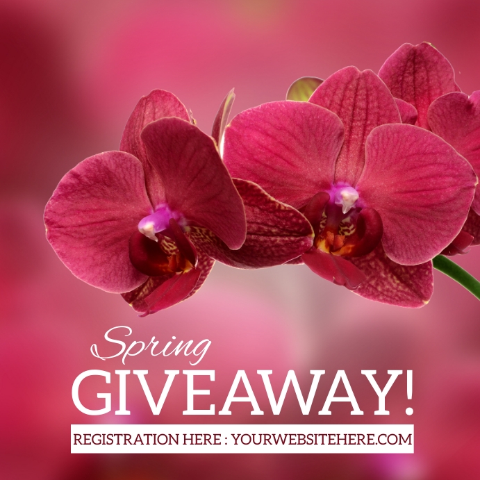 Spring Giveaway | PosterMyWall
