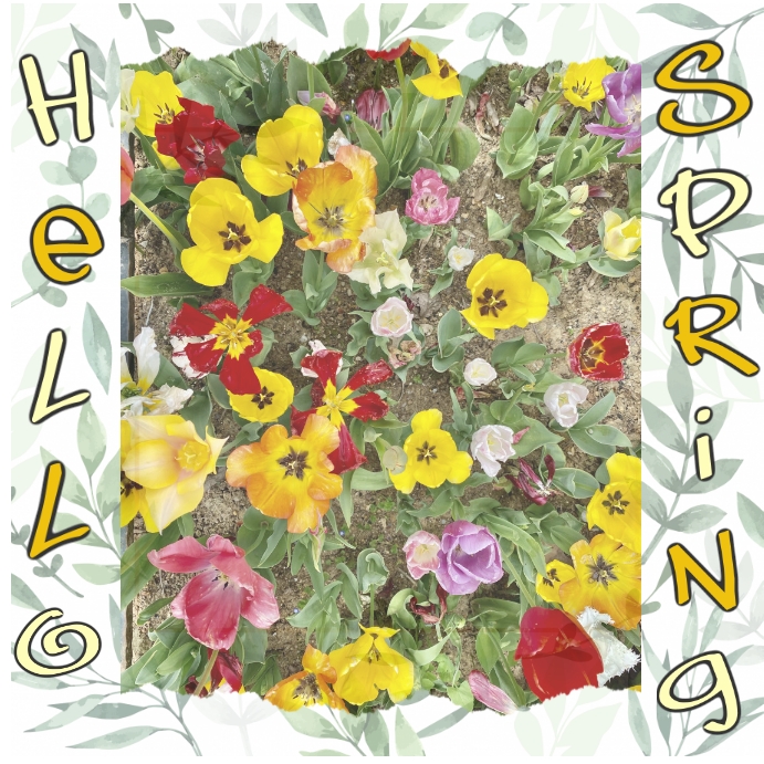 Spring greetings Template | PosterMyWall