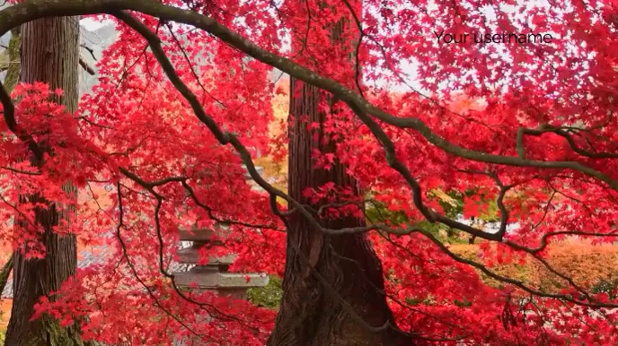 SPRING VIDEO BACKGROUND Template | PosterMyWall