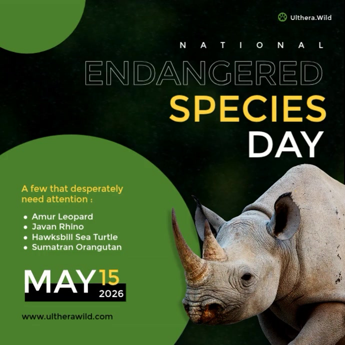 Square slideshow typographyendangered species Template | PosterMyWall