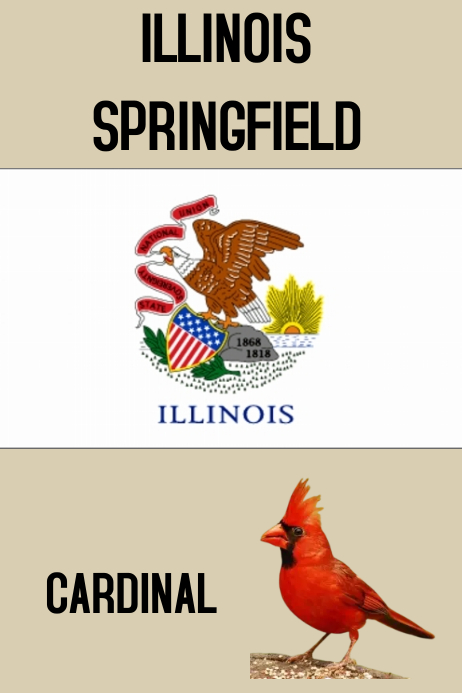 STATE OF ILLINOIS POSTER Template | PosterMyWall