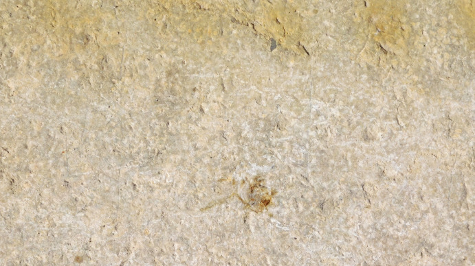 Copy of Stone texture | PosterMyWall