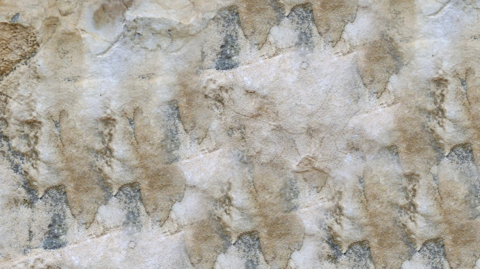 Copy of Stone texture | PosterMyWall