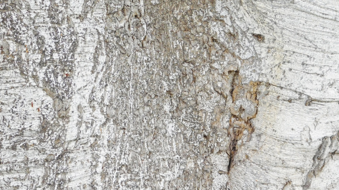 Stone texture Template | PosterMyWall