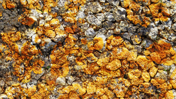 Stone texture Template | PosterMyWall