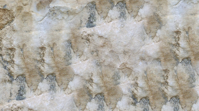 Stone texture Template | PosterMyWall