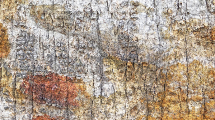 Stone texture Template | PosterMyWall