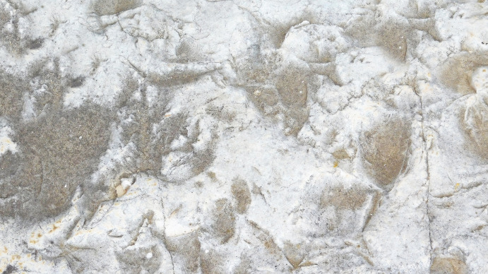 Stone texture Template | PosterMyWall