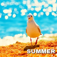 Summer Vibes CD Album Cover Template | PosterMyWall