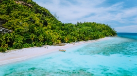 Tropical beach zoom background Template | PosterMyWall