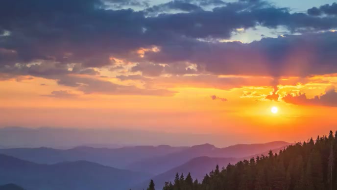 This Design Template is not available | PosterMyWall