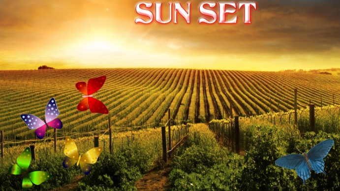 SUN SET Template | PosterMyWall