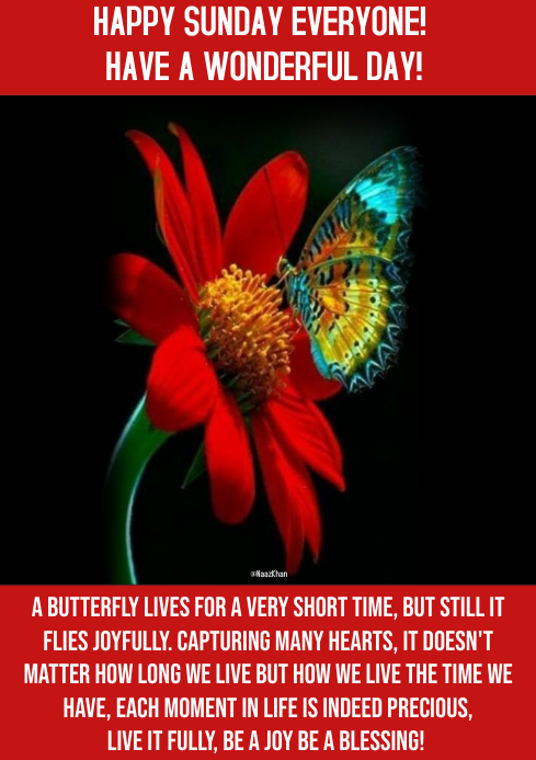 Copy of Sunday | PosterMyWall