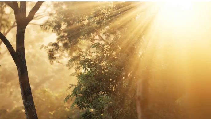 Copy of sunlight | PosterMyWall