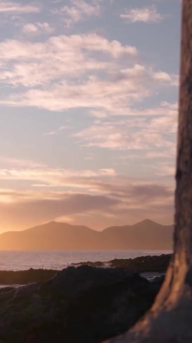 sunset beach sea background video Template | PosterMyWall