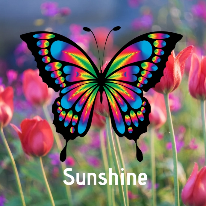 Sunshine album art Template | PosterMyWall