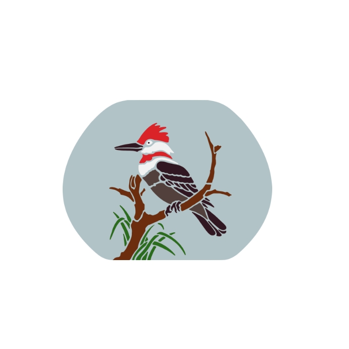 Templat Brosur Burung | PosterMyWall