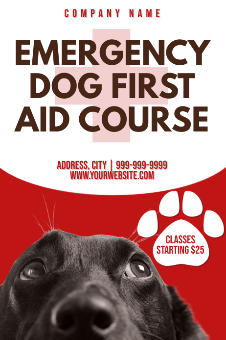 Template first aid dog | PosterMyWall