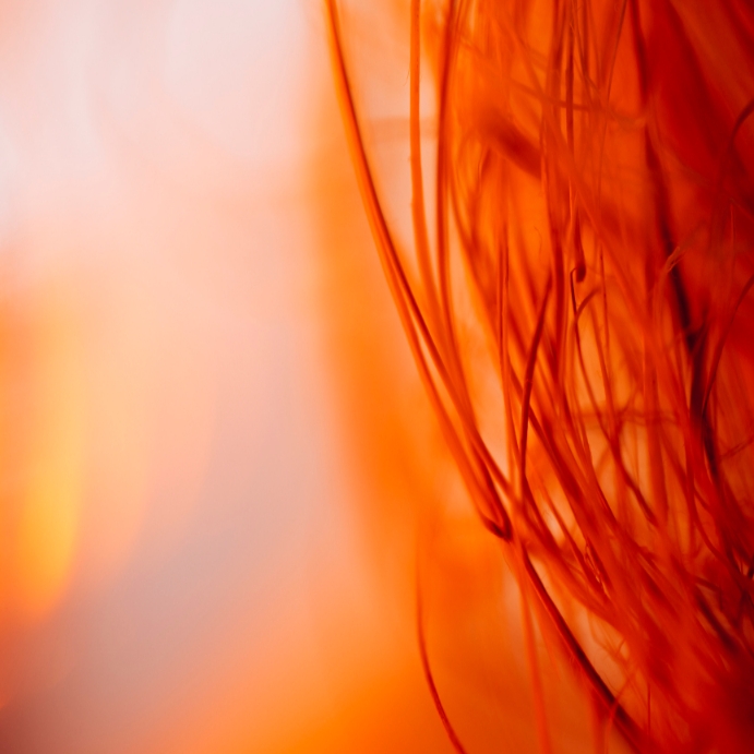 Copy of Texture waving red fibers design background | PosterMyWall