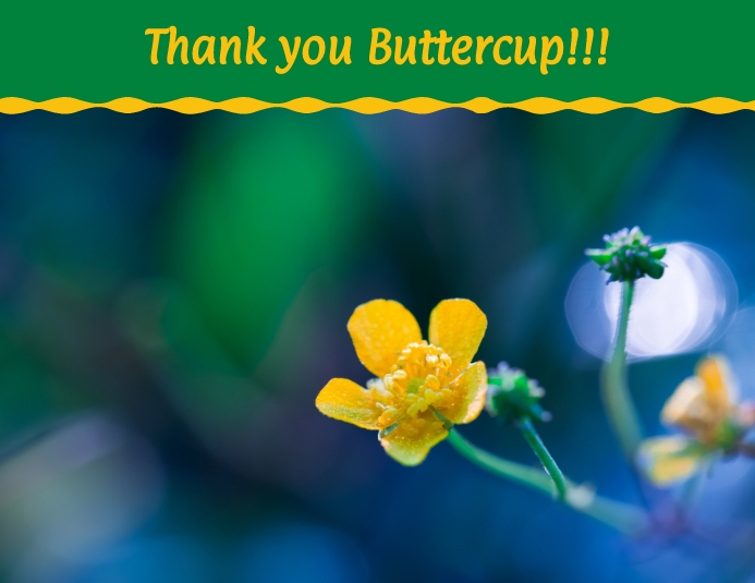 Thank you Template | PosterMyWall