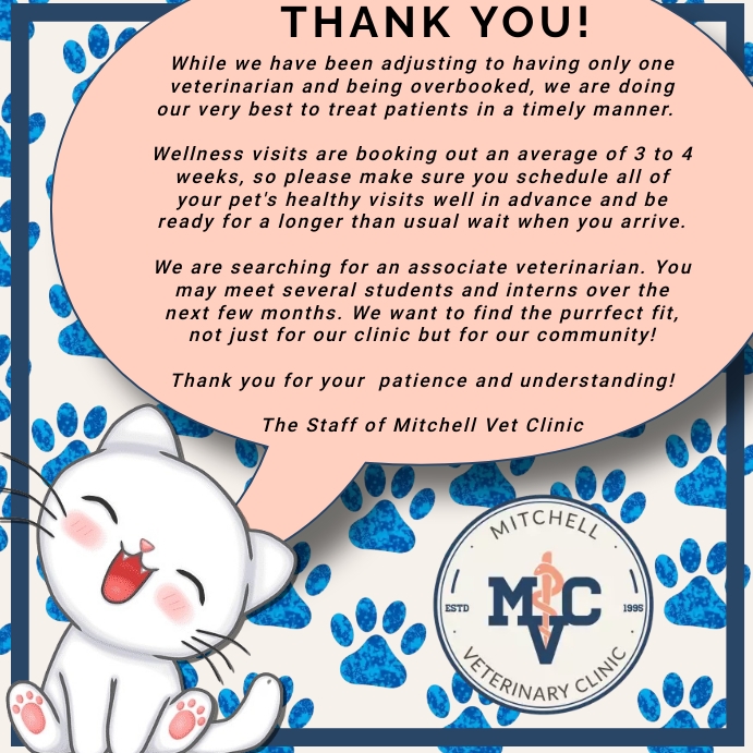 Thank You For Patience Template | PosterMyWall