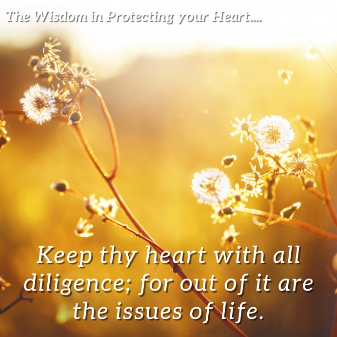 Copy of The Wisdom in Protecting your Heart | PosterMyWall