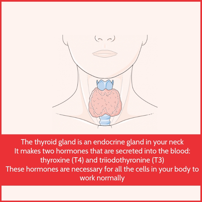 Thyroid Template | PosterMyWall