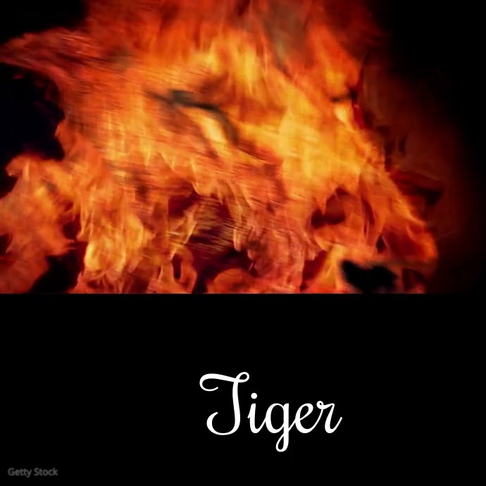 Tiger intro Template | PosterMyWall