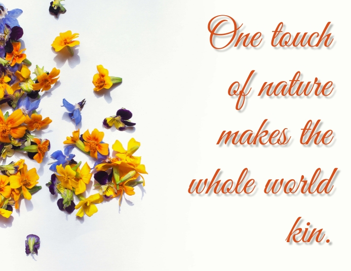 Copy of Touch of nature quote template | PosterMyWall