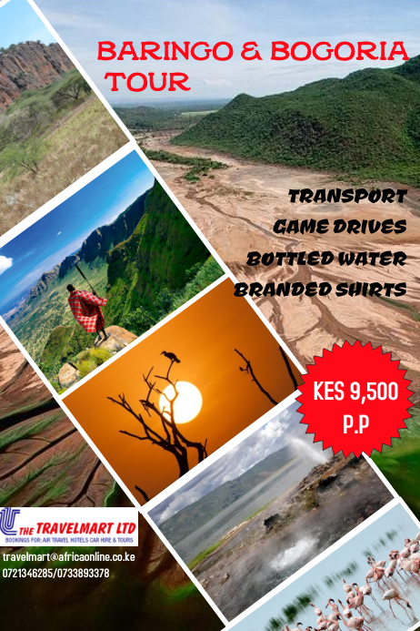 tour flyer Template | PosterMyWall