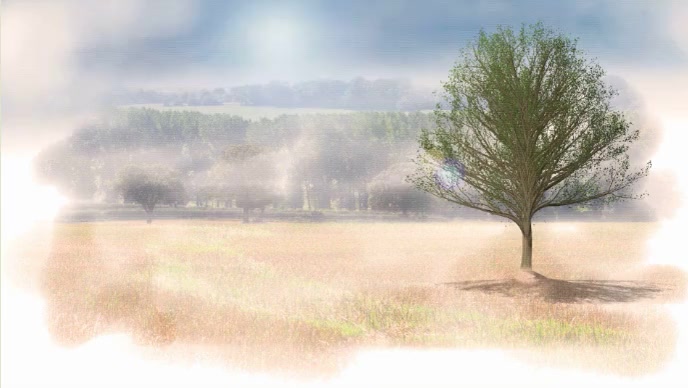 tree and sun Template | PosterMyWall