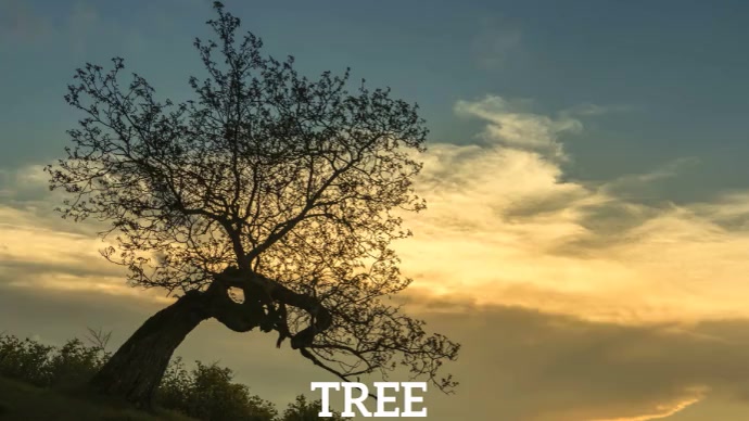 TREE LOGO Template | PosterMyWall