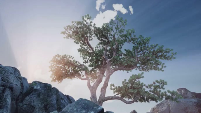 Copy of tree video | PosterMyWall