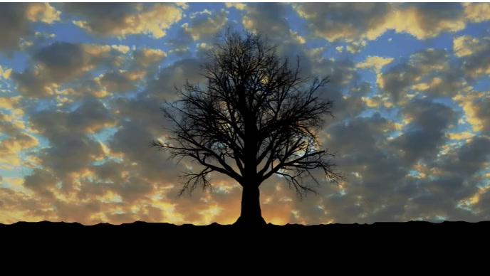 trees in the forest Template | PosterMyWall