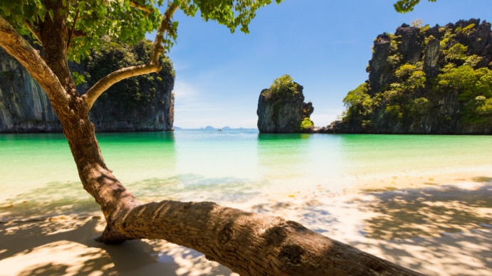 tropical zoom background Template | PosterMyWall