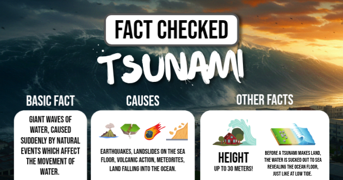 Modèle tsunami facts | PosterMyWall