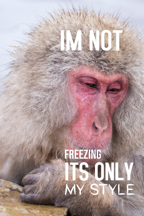 Tumblr template | PosterMyWall