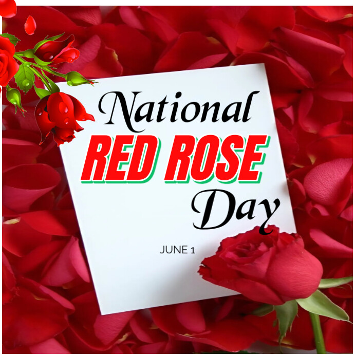 Typographic National Red Rose Instagram Post Template | PosterMyWall