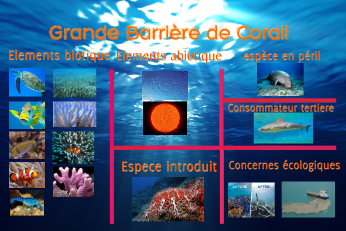 underwater Template | PosterMyWall
