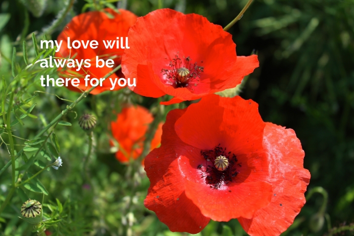 undying love Template | PosterMyWall