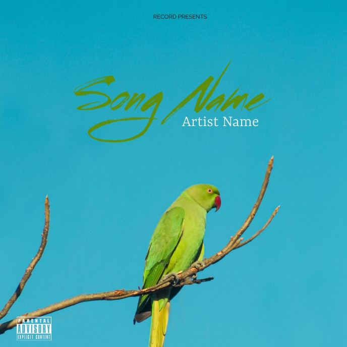 Unique Album Covers (78) Template | PosterMyWall