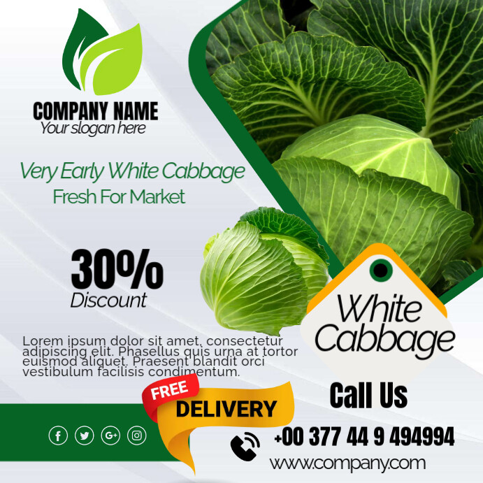 Copy of Vegetable Flyer- Cabbage | PosterMyWall