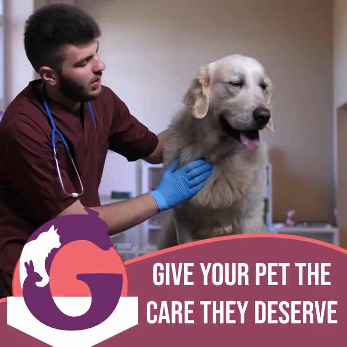 Vet Template | PosterMyWall